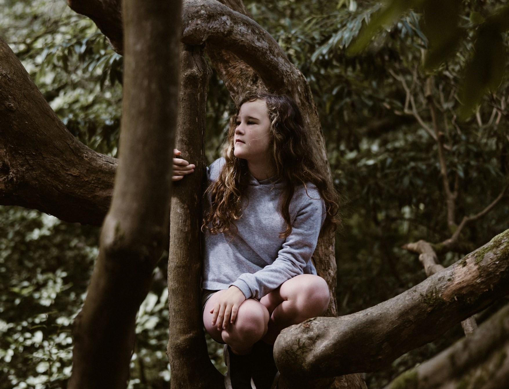 FLIP IT®: A Positive Approach to Managing Challenging Behavior in Young ...